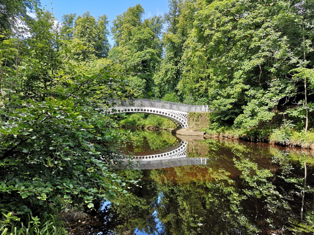 Home Page - Friends of Linn Park